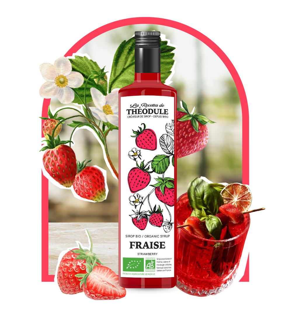 Sirops de fruits sans sucre artisanal et bio